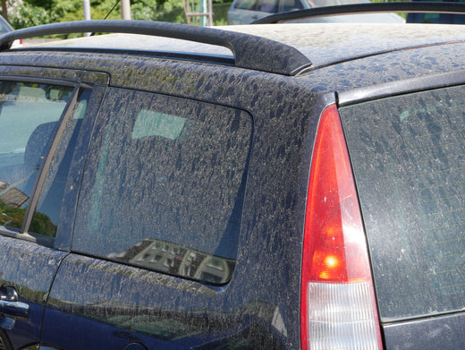 The Ultimate Guide to Removing Pollen and Allergens from Your Car ...